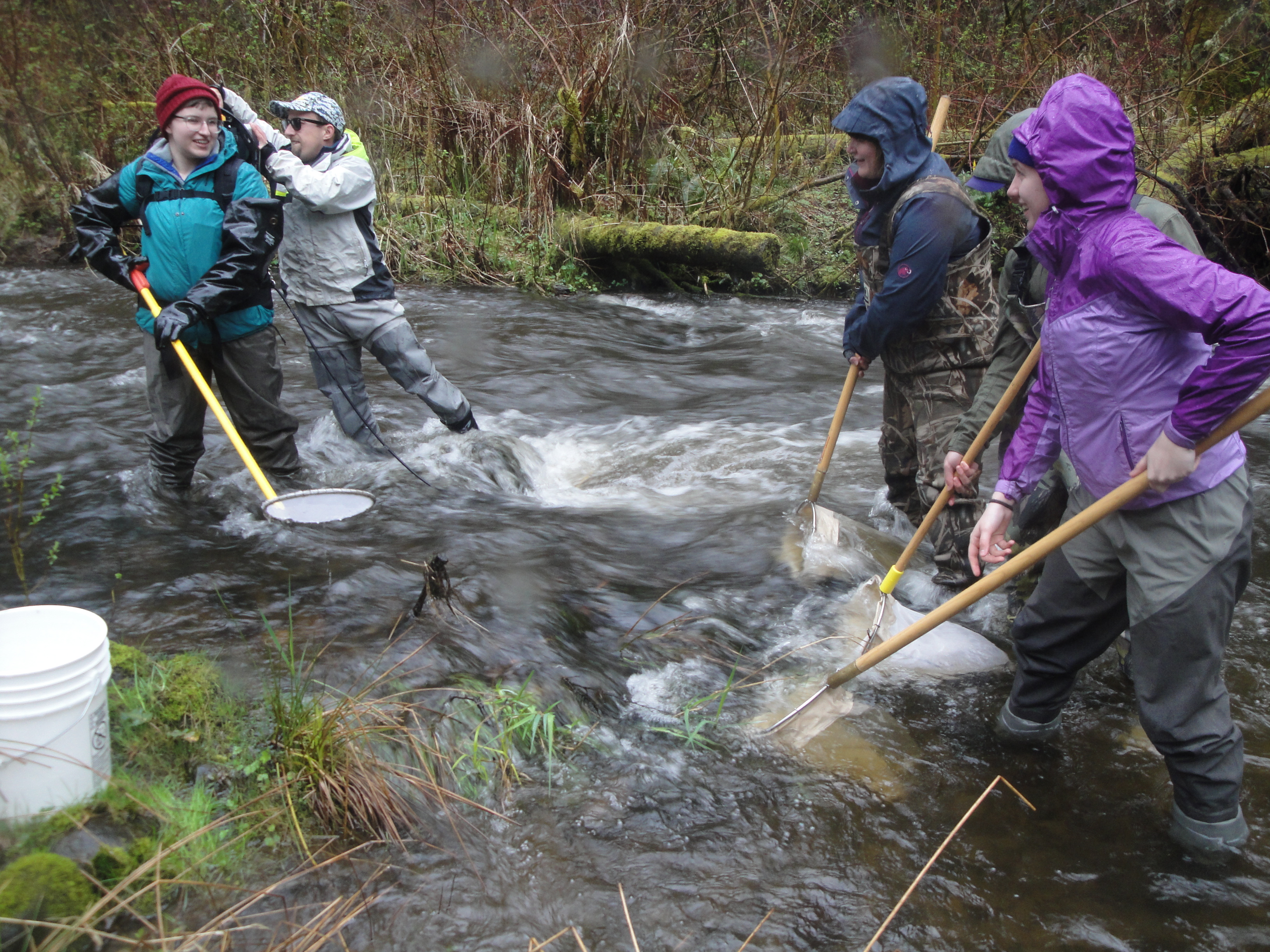 FISH 312: Fisheries Ecology – Wood Lab